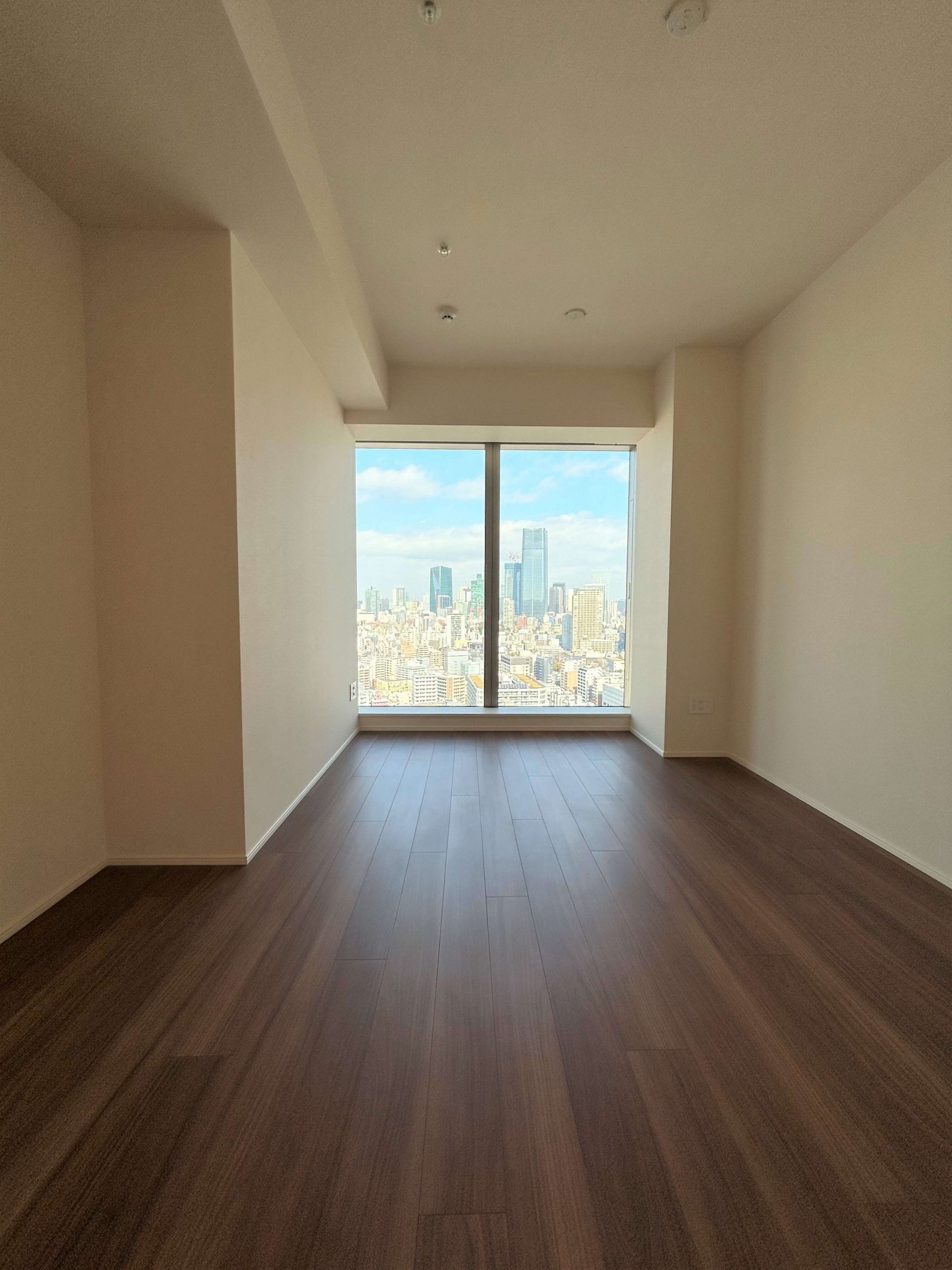 白金ザ・スカイ 新築タワーマンションの30階、東京タワーが望める2LDK 東京の高級中古マンション／リノベーションマンションの【mitaina（ミタイナ）】