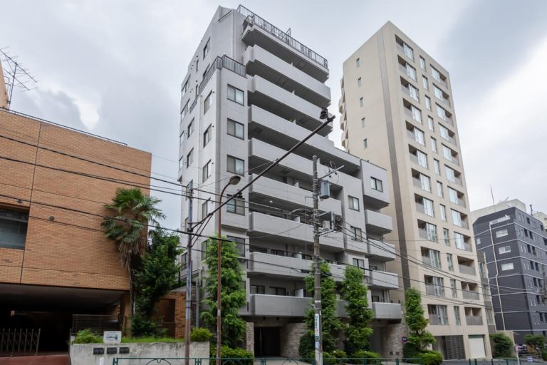 東急ドエル・アルス恵比寿 2駅4路線利用可能！南向きの2SLDK 東京の高級中古マンション／リノベーションマンションの【mitaina（ミタイナ）】