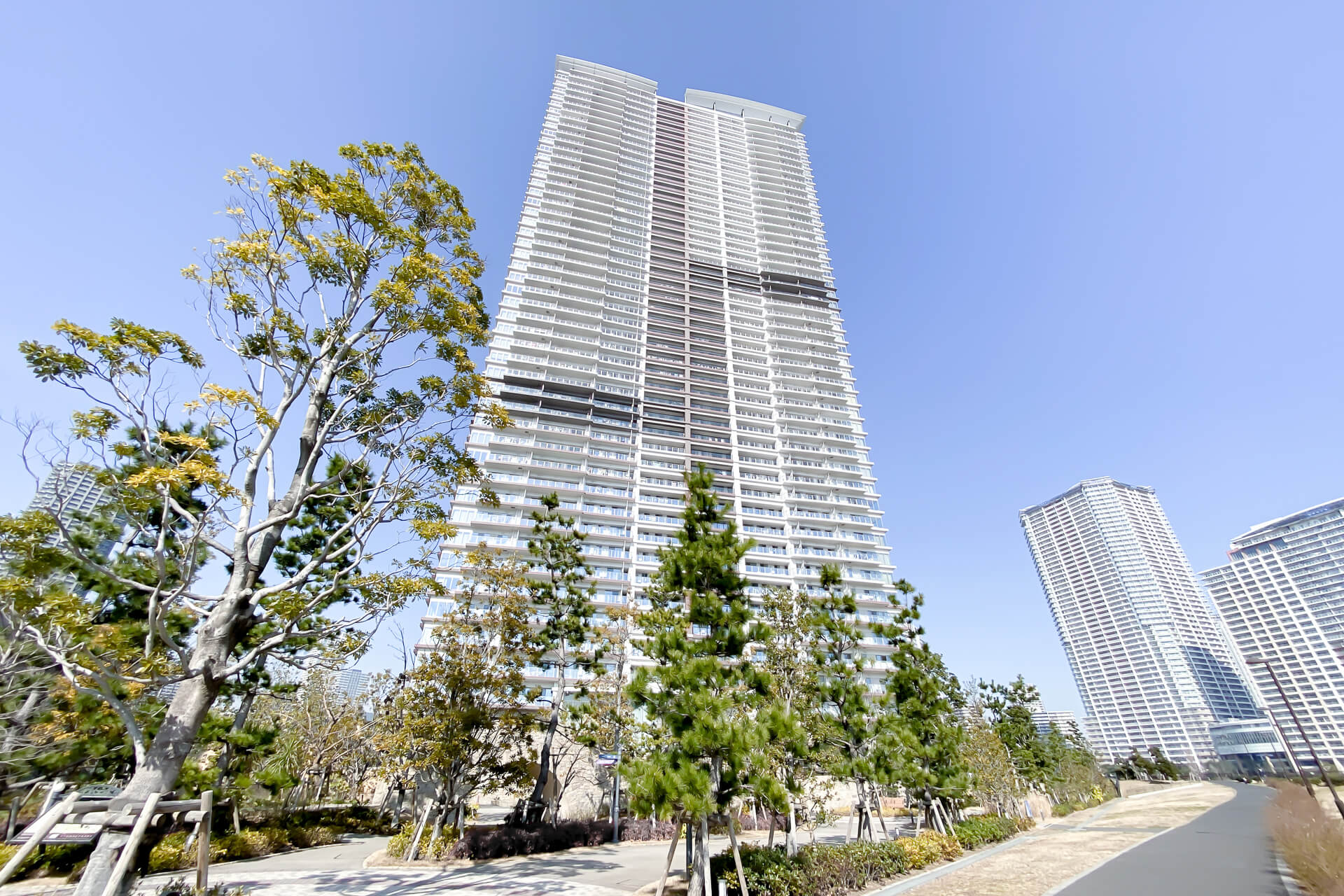 パークタワー晴海 猫専用ドアも完備、愛猫との暮らしに配慮された空間設計 東京の高級中古マンション／リノベーションマンションの【mitaina（ミタイナ）】