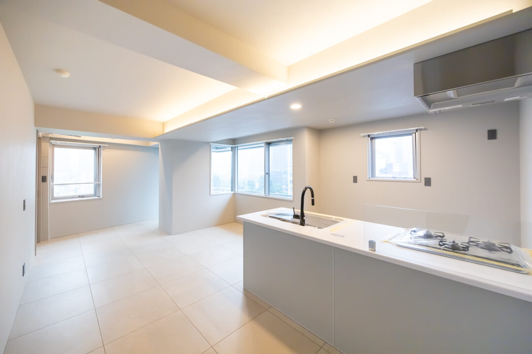 リーラ乃木坂 都心を愉しむ、大人の1LDK 東京の高級中古マンション／リノベーションマンションの【mitaina（ミタイナ）】