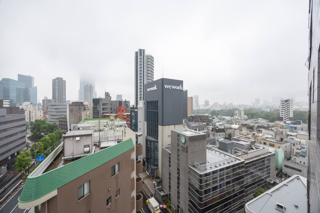 リーラ乃木坂 都心を愉しむ、大人の1LDK 東京の高級中古マンション／リノベーションマンションの【mitaina（ミタイナ）】